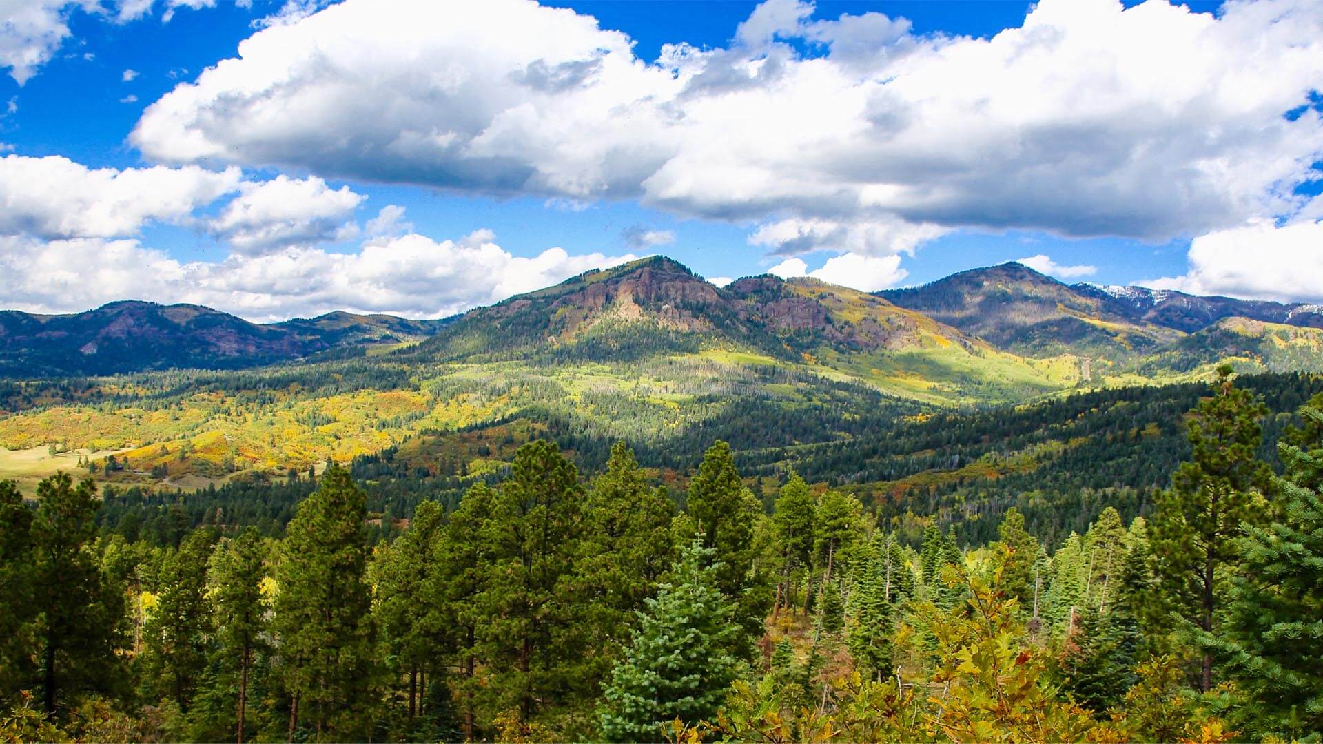 Pagosa Springs Cabin and Condo Rentals | Pagosa Vacation Homes